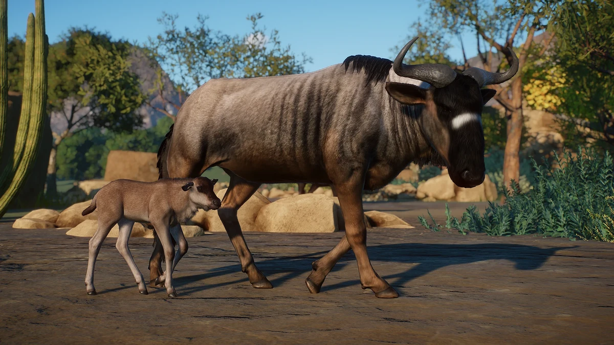 Nyassa Wildebeest (Bubblywums) | Planet Zoo Modding Library Wiki | Fandom