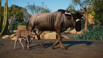 Nyassa Wildebeest (Bubblywums) | Planet Zoo Modding Library Wiki | Fandom