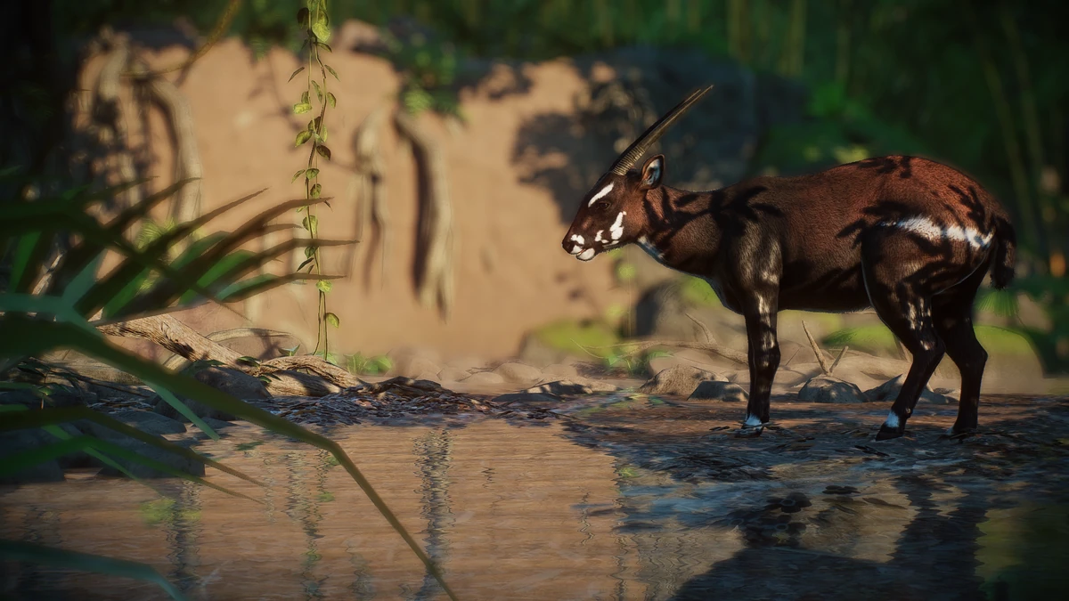Saola (Monsoon) | Planet Zoo Modding Library Wiki | Fandom