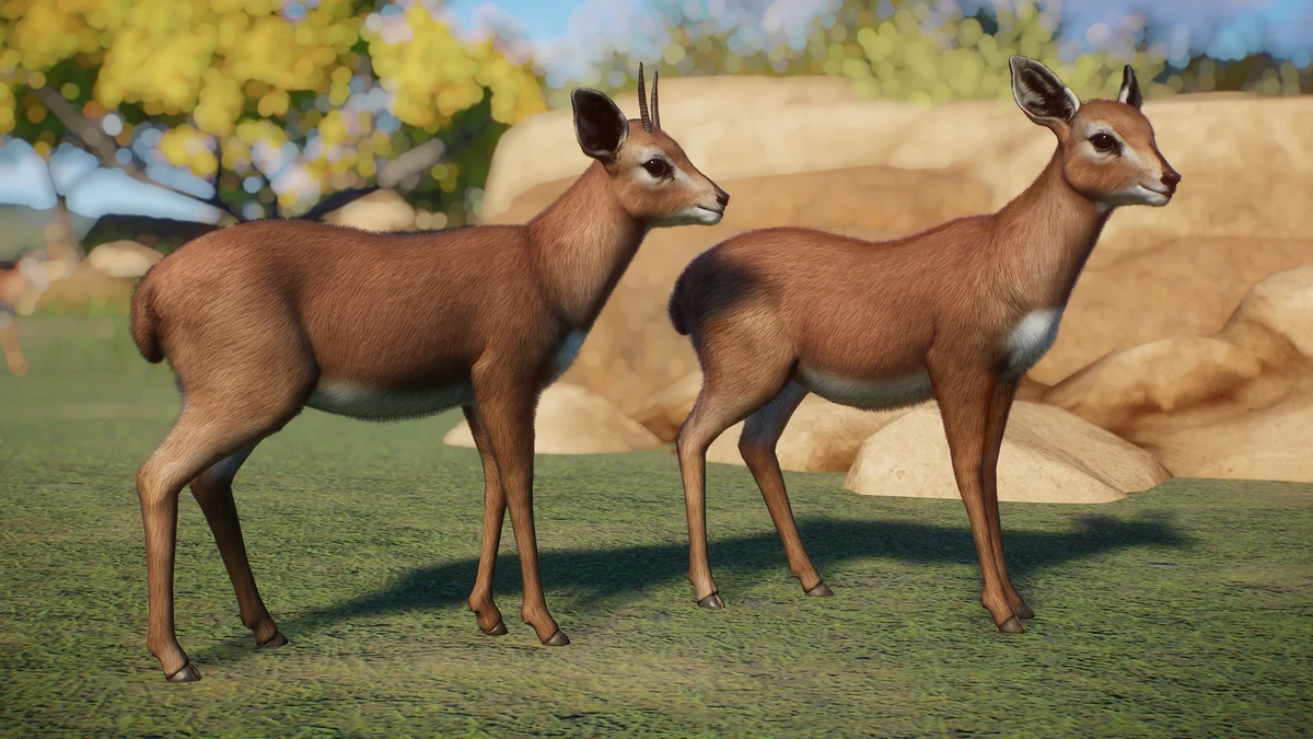 Steenbok (Bubblywums) | Planet Zoo Modding Library Wiki | Fandom