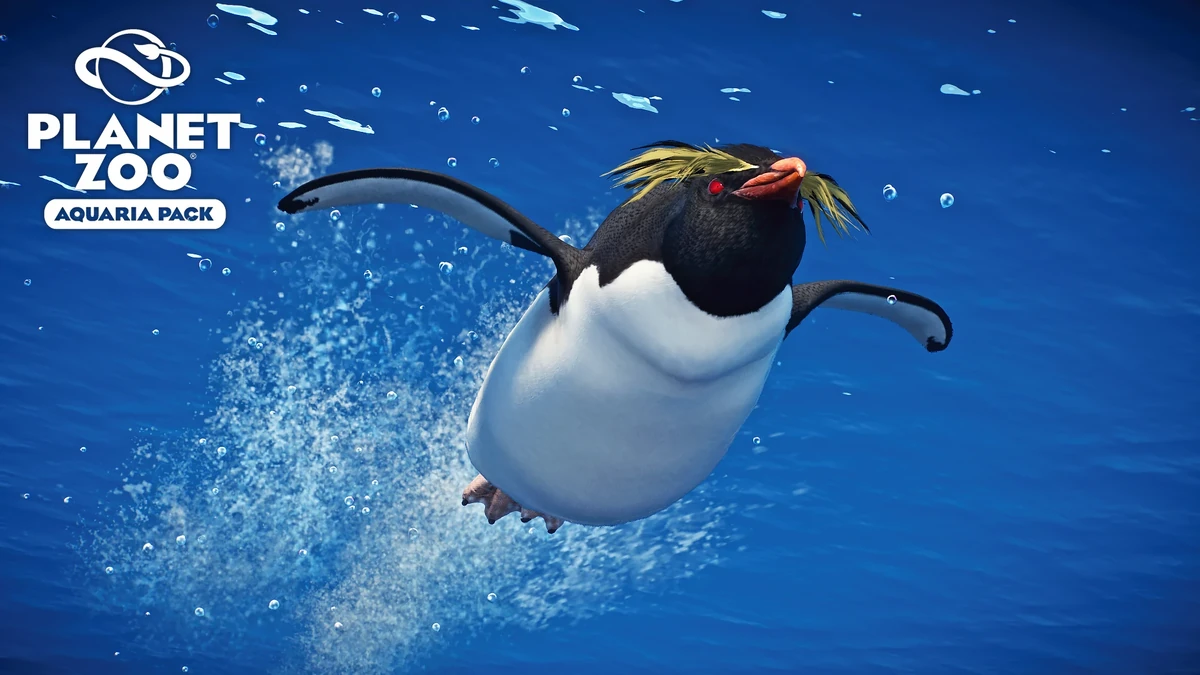 Southern Rockhopper Penguin (Bubblywums) | Planet Zoo Modding Library Wiki | Fandom