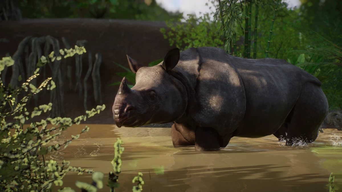 Javan Rhinoceros (Narwhaler) | Planet Zoo Modding Library Wiki | Fandom