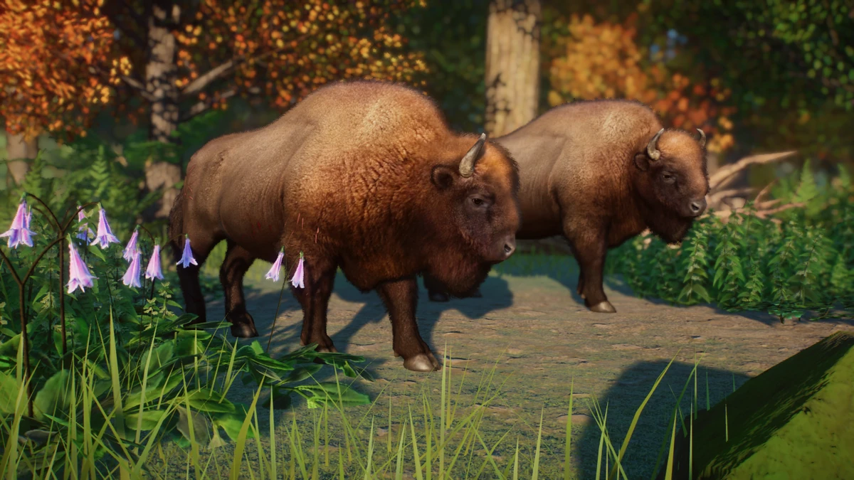 Wisent (Narwhaler) | Planet Zoo Modding Library Wiki | Fandom