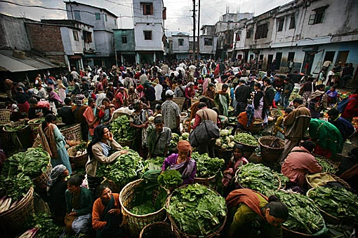 Thais | QDnD Wiki | Fandom