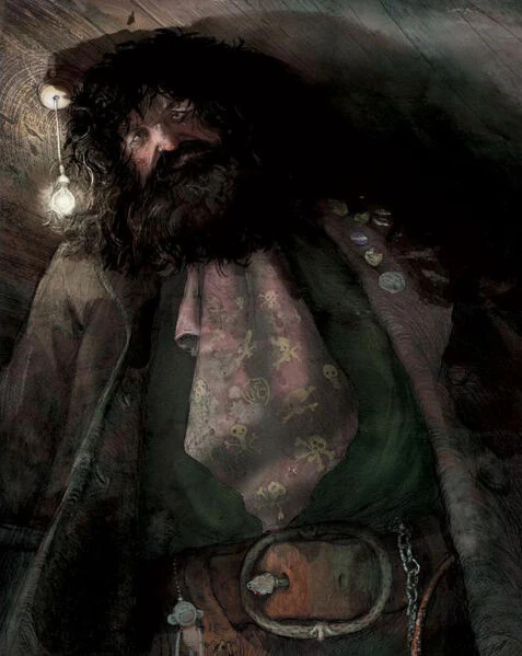 Human to pig spell | The Harry Potter Compendium | Fandom