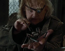 Engorgement Charm | The Harry Potter Compendium | Fandom