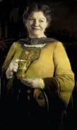 Head of House | The Harry Potter Compendium | Fandom