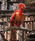 Phoenix feather | The Harry Potter Compendium | Fandom