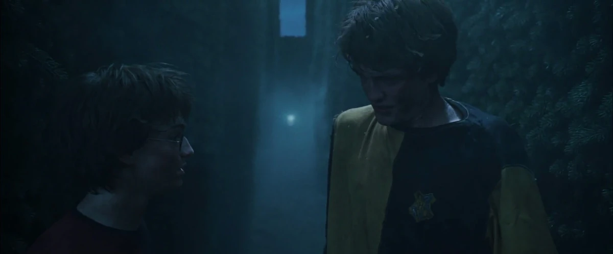 Duel in Little Hangleton | The Harry Potter Compendium | Fandom