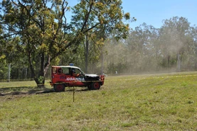 Goanna | Queensland Rovers Wiki | Fandom