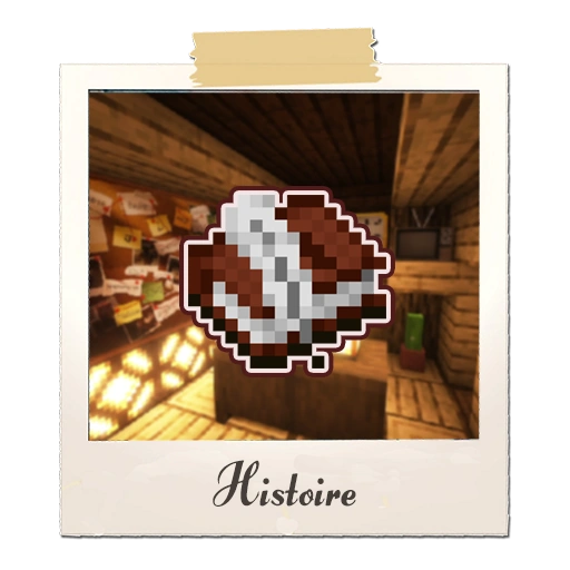 Accueil/Navigation | Wiki QSMP | Fandom