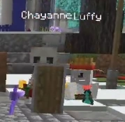 Chayanne | QSMP Wiki | Fandom