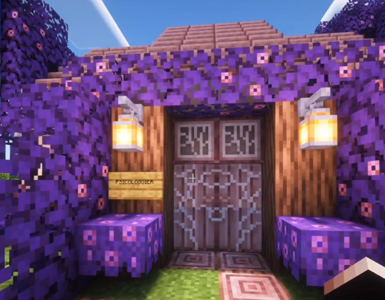 Lieux Publics | Wiki QSMP | Fandom