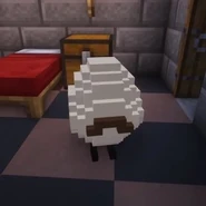 Ramón | QSMP Wiki | Fandom