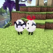 JuanaFlippa | QSMP Wiki | Fandom