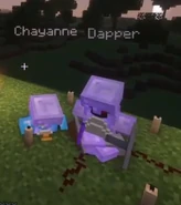 Dapper | QSMP Wiki | Fandom
