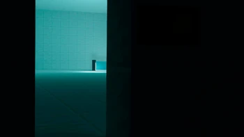 Cellbit/Lore | QSMP Wiki | Fandom