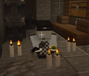 Slimecicle/Lore | QSMP Wiki | Fandom