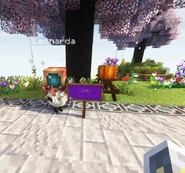 Leonarda | QSMP Wiki | Fandom