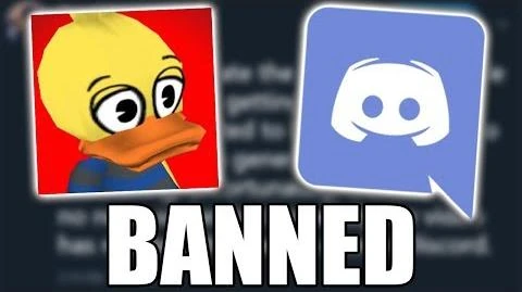 Discuss Everything About QuackityHQ Wikia | Fandom