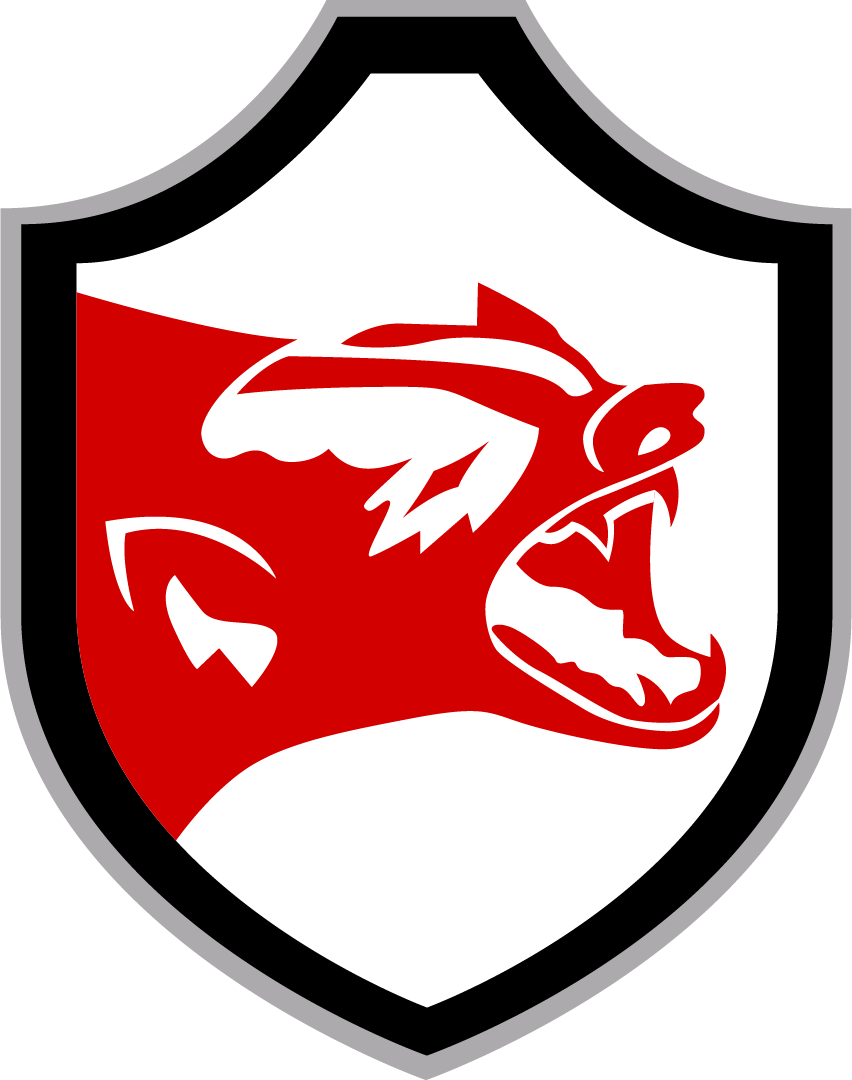 Badger Squad | Quake Wiki | Fandom