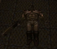 Enforcer (Q1) | Quake Wiki | Fandom