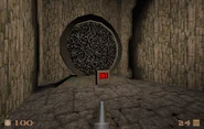 Shub-Niggurath's Pit (Quake) | Quake Wiki | Fandom