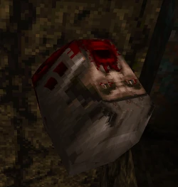 Heads | Quake Wiki | Fandom