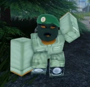 Mysterious Floppy Disc 1 | Aftermath Wiki | Fandom