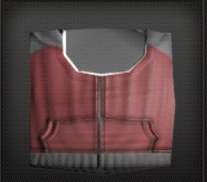 Hoodie | Aftermath Wiki | Fandom