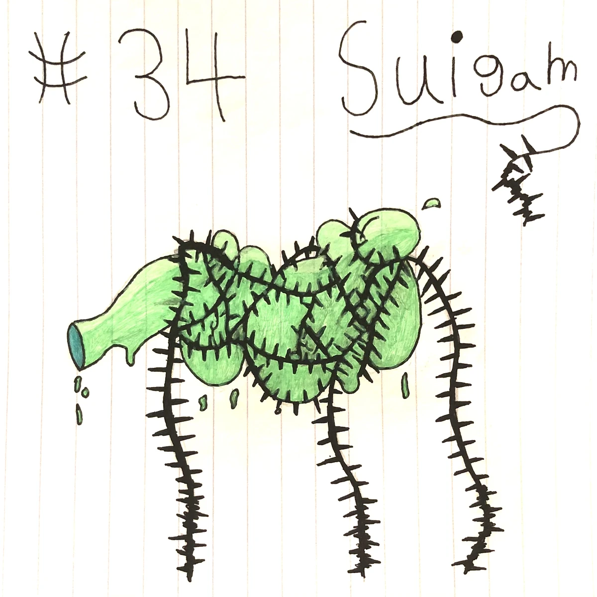 Suigam | Quatheral Wiki | Fandom