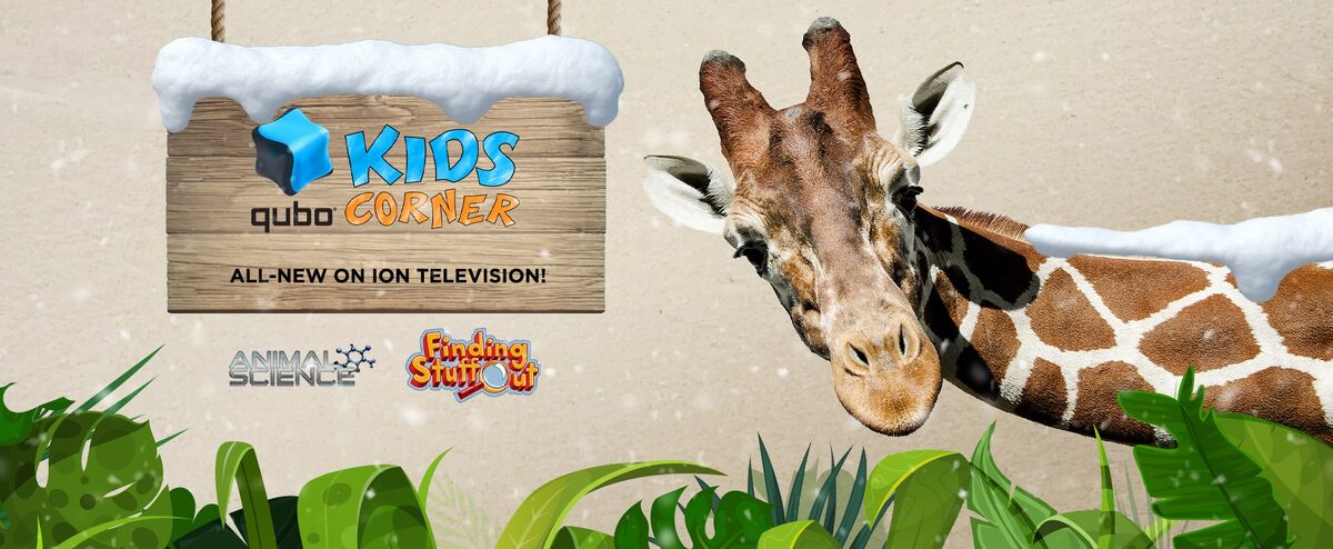 Qubo Kids Corner | The Official Qubo Wiki | Fandom
