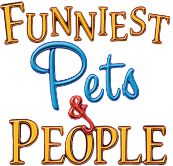 Funniest Pets & People/Gallery | The Official Qubo Wiki | Fandom