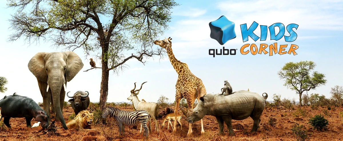 Qubo Kids Corner/Gallery | The Official Qubo Wiki | Fandom