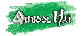 Qubool Hai | Qubool Hai Wiki | Fandom
