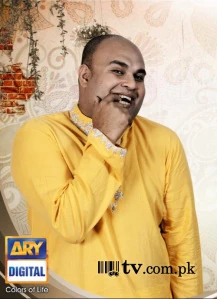 Wadood Ahmed | Quddusi Sahab Ki Bewah Wiki | Fandom