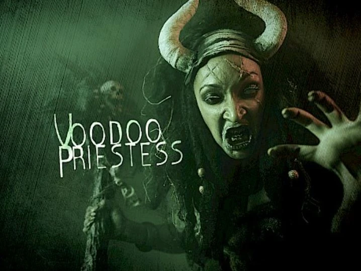 Voodoo Priestess | Queen Mary's Dark Harbor Wiki | Fandom