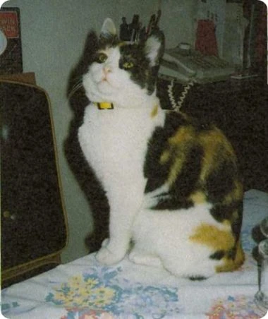 Delilah | Queenpedia | Fandom