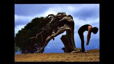 Space | Queenpedia | Fandom