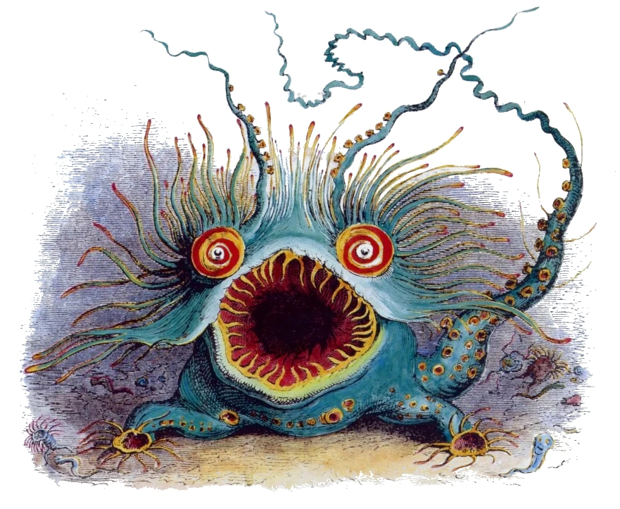 Bearded Cockroach | Queen Info Database | Fandom