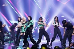 Beauty Fox | Queendom/Kingdom Wiki | Fandom