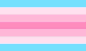 Transfeminine | Queer Community Wiki | Fandom
