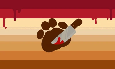 Slashcatgender | Queer Kingdom Wiki | Fandom