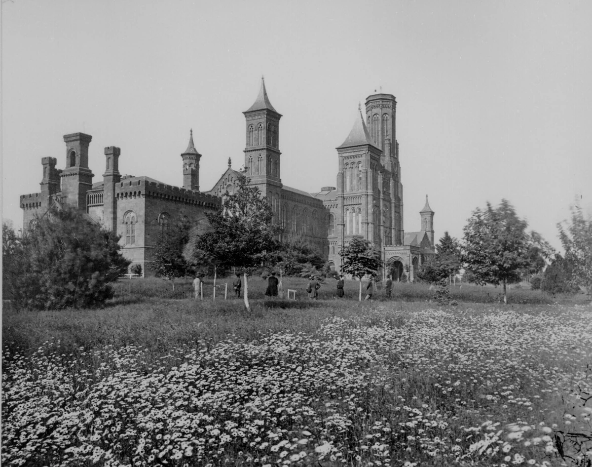 Smithsonian Institution | Interactive Fiction Wiki | Fandom