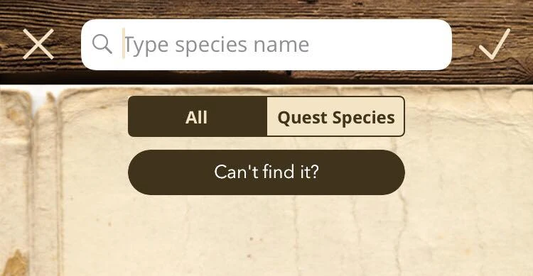 Common questions | QuestaGame Wiki | Fandom
