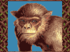 Manu | Quest for Glory Omnipedia | Fandom