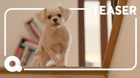 Barkitecture | Quibi Wiki | Fandom