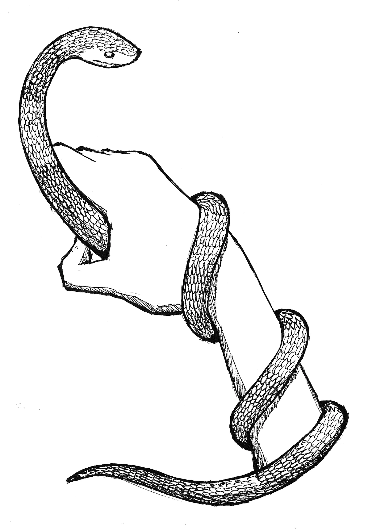 Nigel | Quickipedia | Fandom