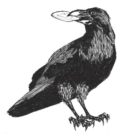 Charlie | Quickipedia | Fandom