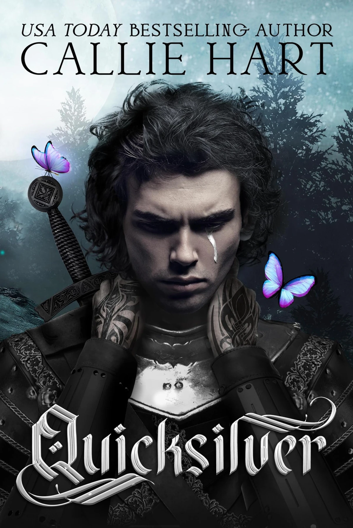 Quicksilver Book | Quicksilver (Fae & Alchemy) Wiki | Fandom